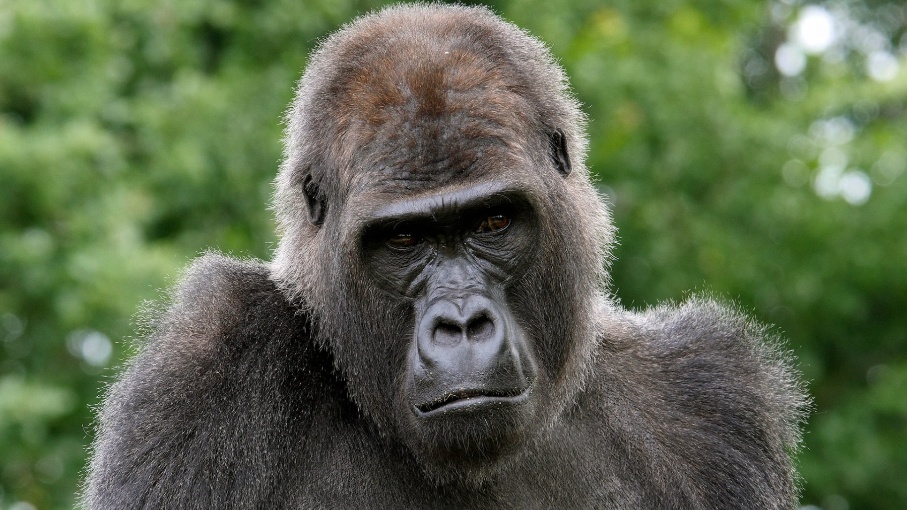 Nya filmer på SLI Play vecka 9 – SLI Education