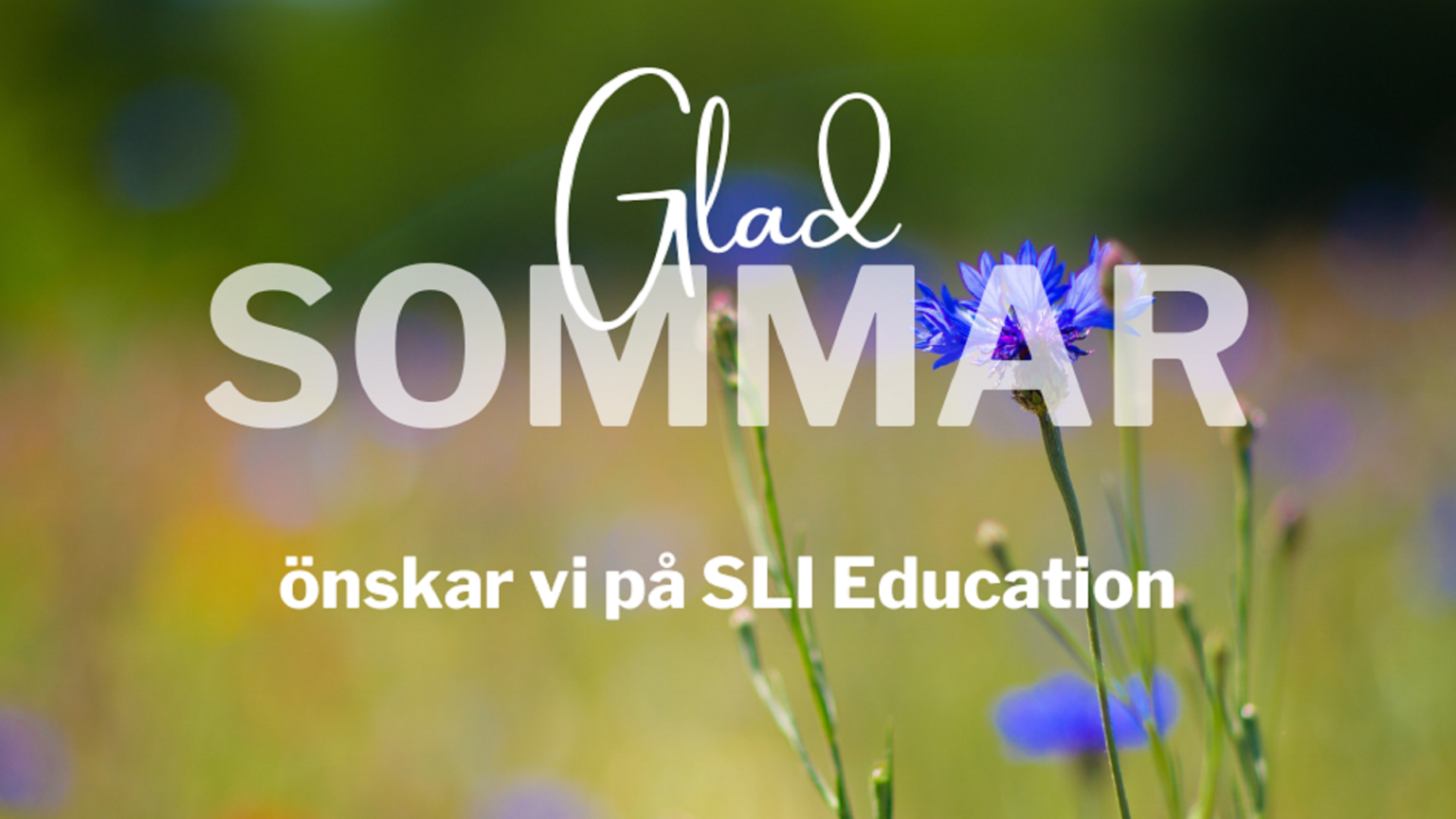 Glad sommar! - SLI Education